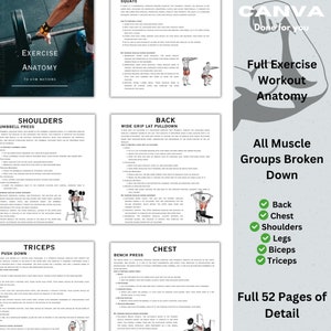 Exercise Anatomy Information Pack, Muscle Knowledge, All Muscles Worked ...
