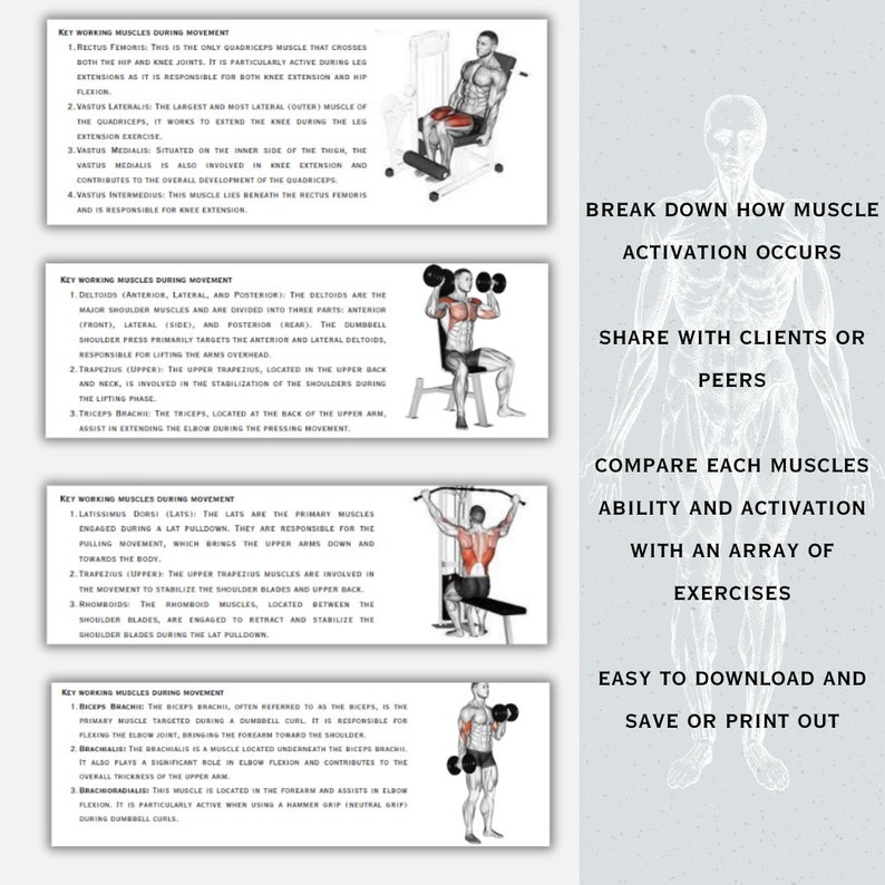 Exercise Anatomy Information Pack, Muscle Knowledge, All Muscles Worked ...
