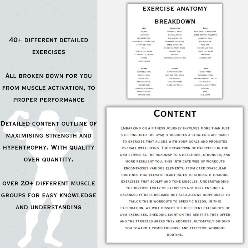 Exercise Anatomy Information Pack, Muscle Knowledge, All Muscles Worked ...