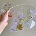 Pressed Flowers Frame,botanical Art Collage, Wall Hanging Dried Flower ...