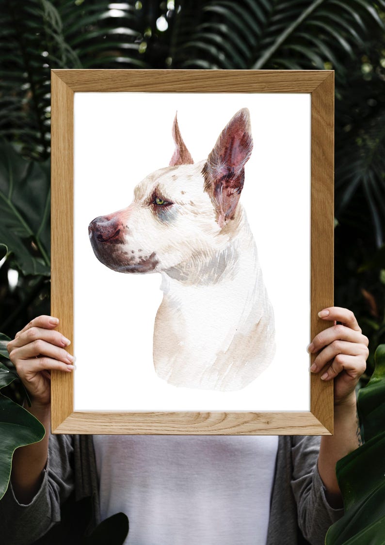 Pet Portrait Custom Watercolor: Hand-painted Donkey Horse Bunny Fish ...
