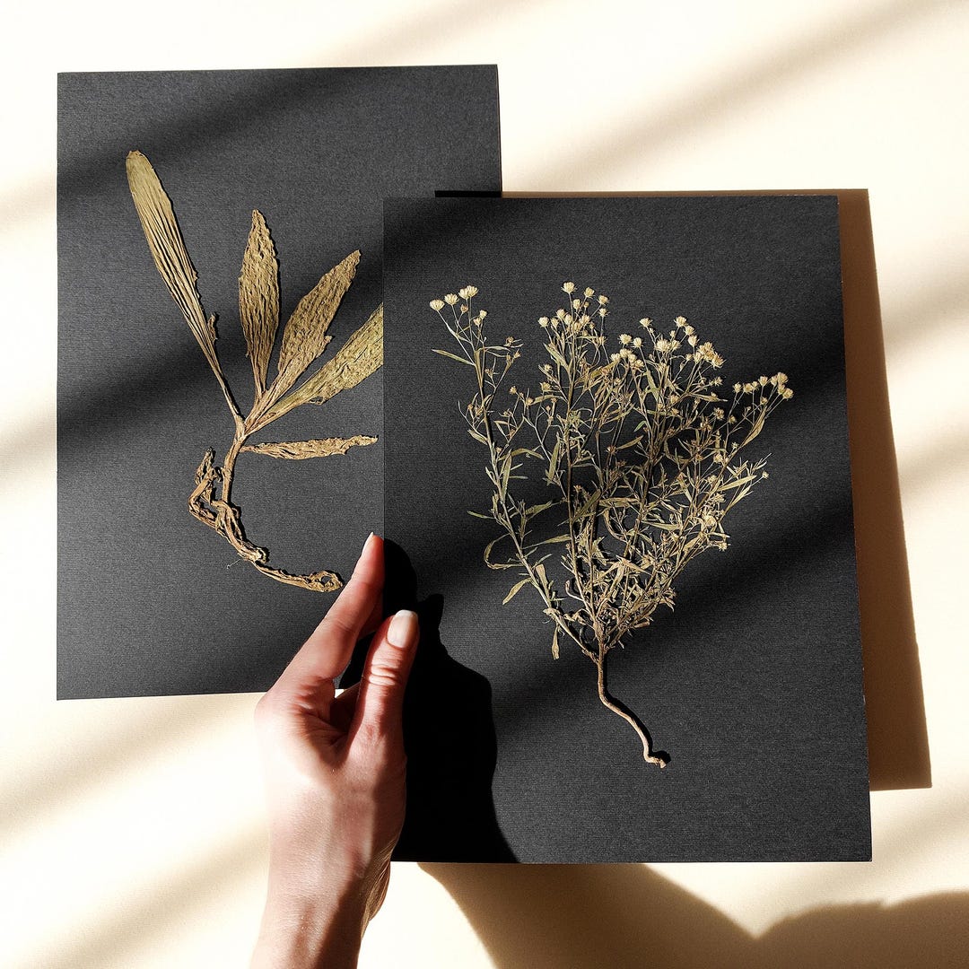 Cottage Core Gallery Wall Set of 2 Unique Plants Dried Wildflowers ...