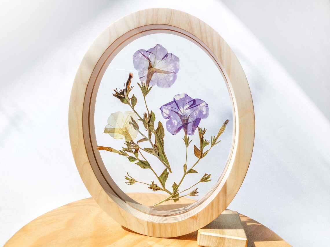 Real Petunia Pressed Flower Art on Plexiglass With Wooden Oval Frame ...