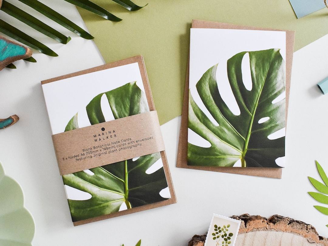 Monstera Leaf Note Cards: Botanical Photo Greeting Cards - Etsy