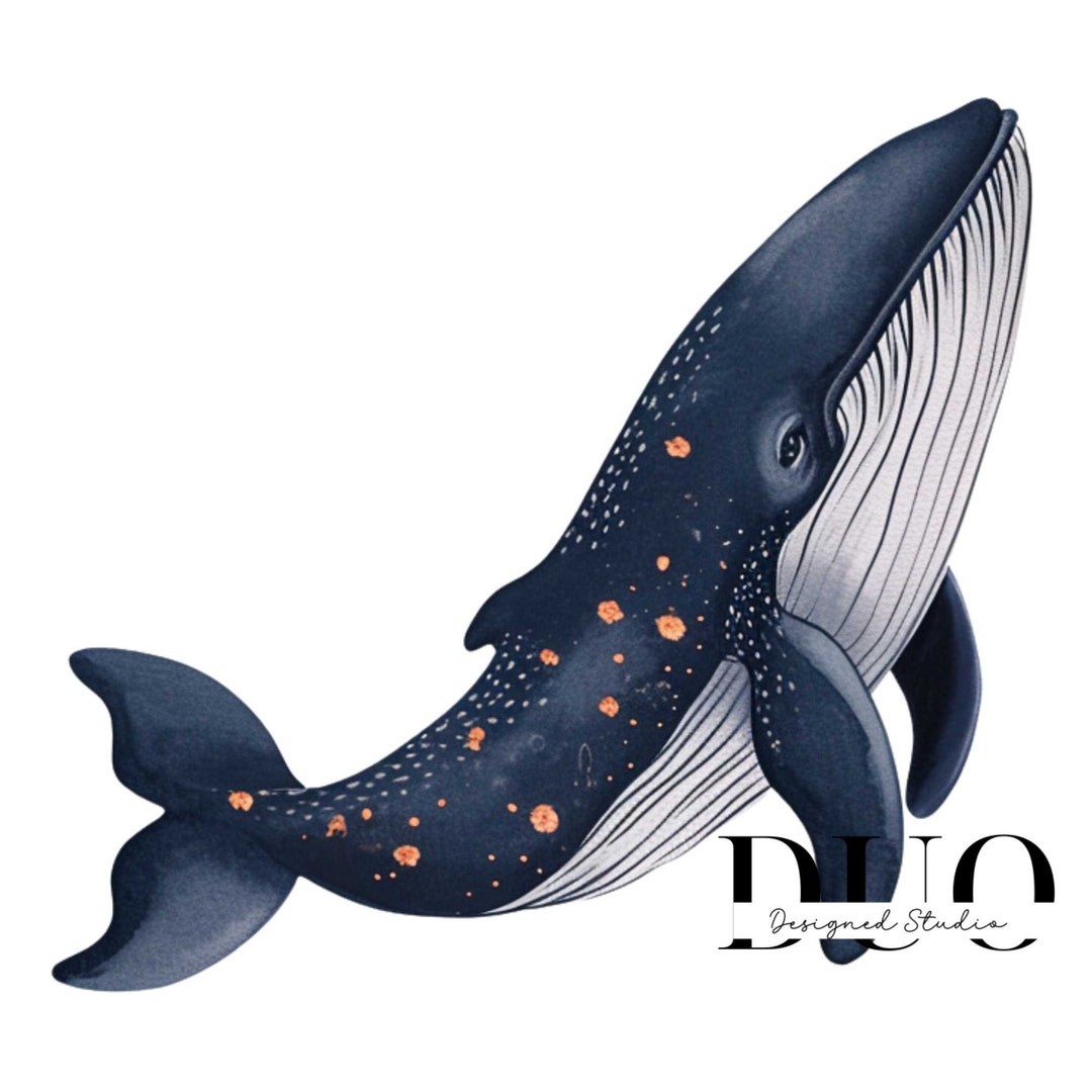 Floral Whale PNG Transfer, Sublimation Transfer File, Iron on Transfer ...