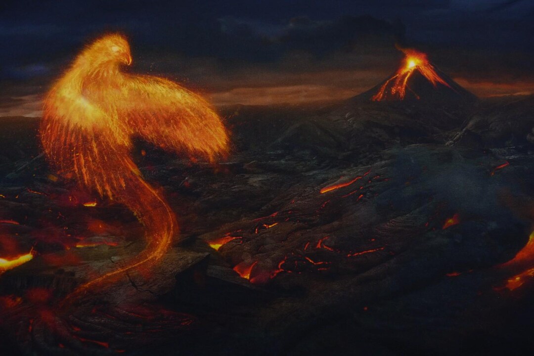 French Terry Panel Phoenix and Volcano 1.40 M X 1.40 M - Etsy
