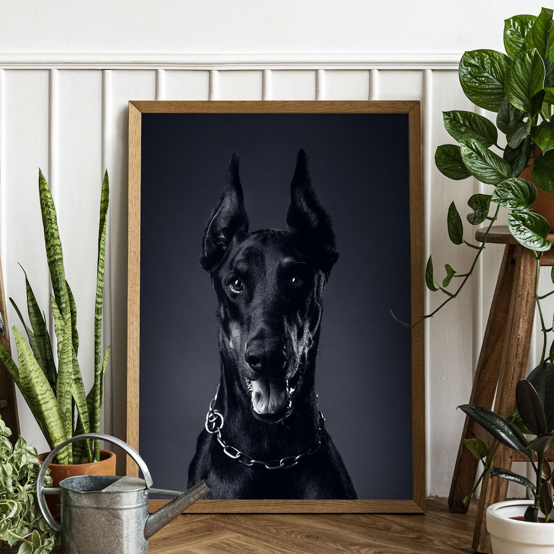 Doberman Poster Hypebeast Wall Art Digital Luxury Fashion Poster ...