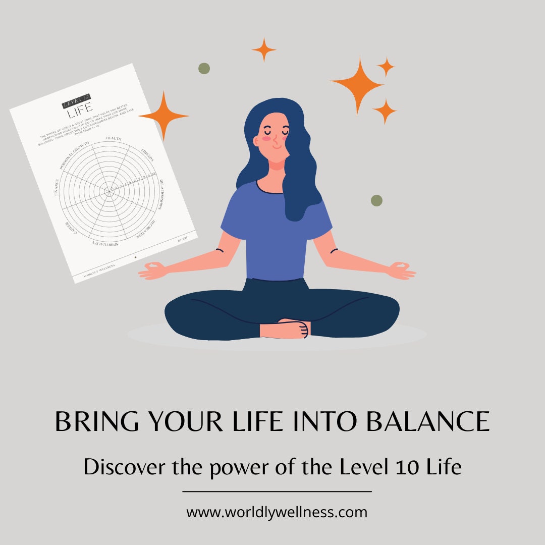 Level 10 Life Wheel - Etsy