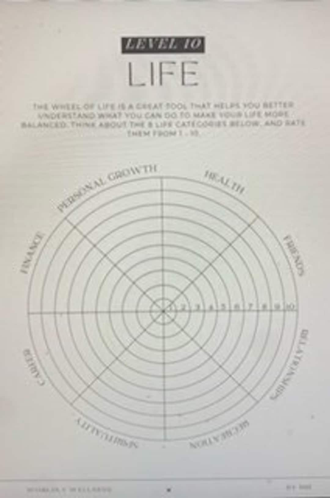 Level 10 Life Wheel - Etsy