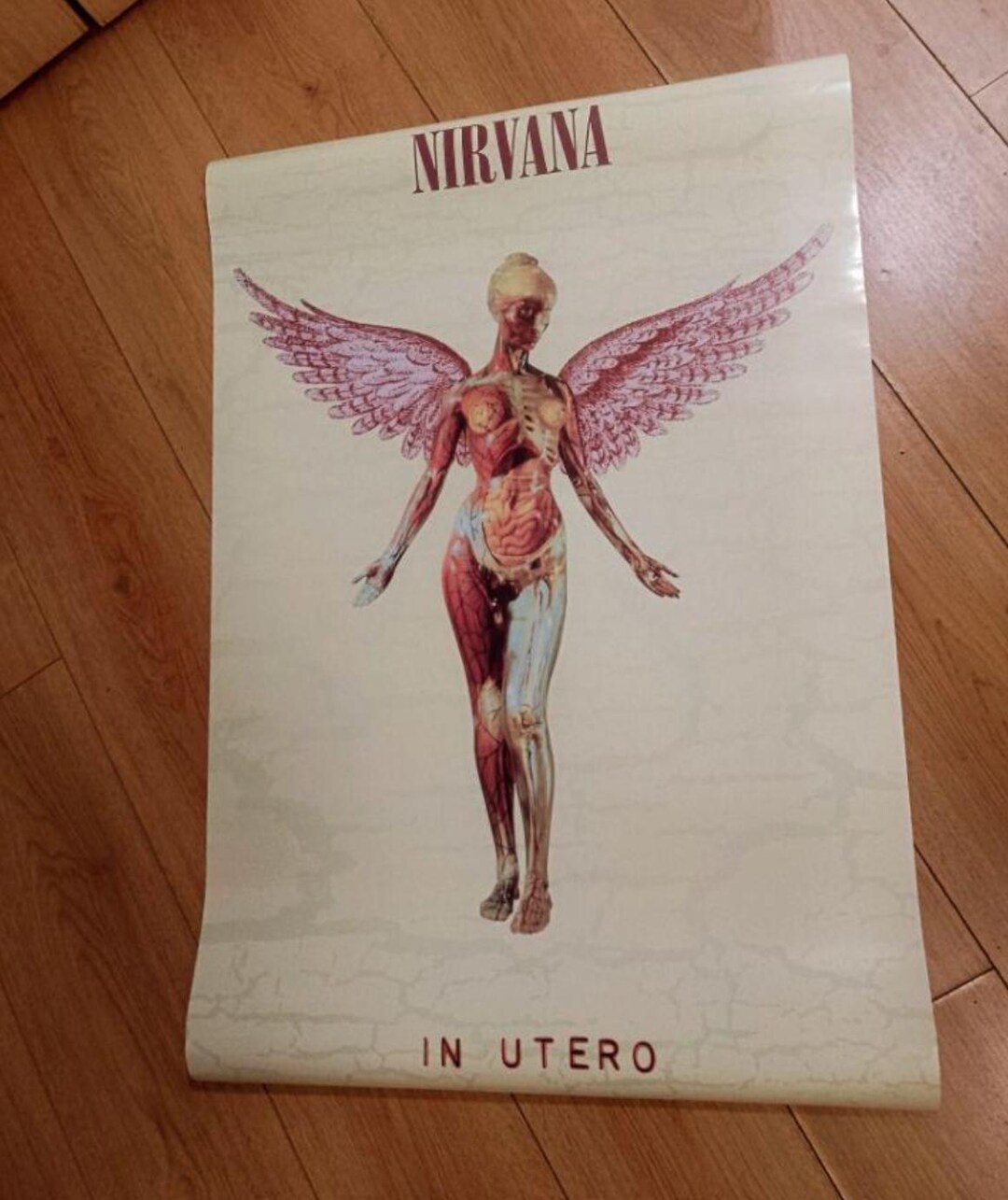 Nirvana in Utero Promotional Poster - Etsy