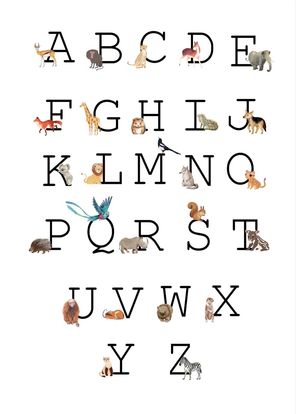 Jungle Animals Alphabet Printable Poster - Etsy