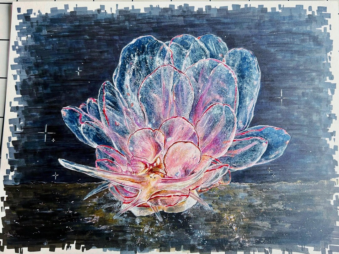 The Ballerina Fairy Sea Slug Artwork [original A3 Artwork] - Etsy