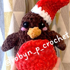 Robin Crochet Pattern, PDF Pattern Only - Etsy
