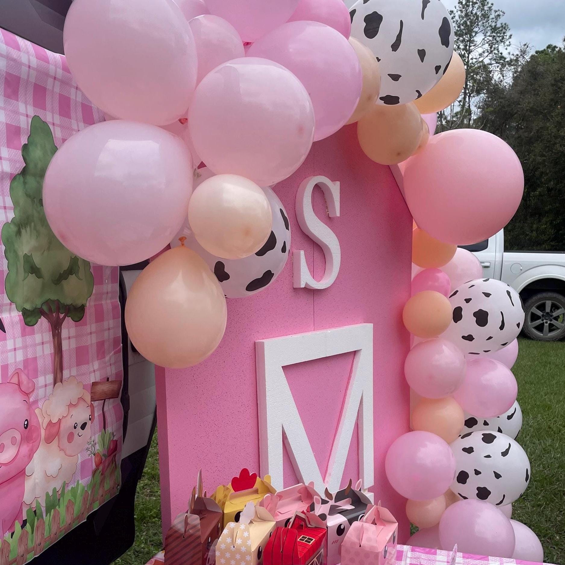 Farmhouse Birthday Party Backdrop | Barn Animal Theme Prop - Etsy