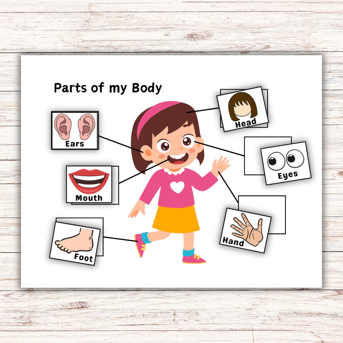 Parts of My Body Activity Busy Book Page for Preschool, Kindergarten ...