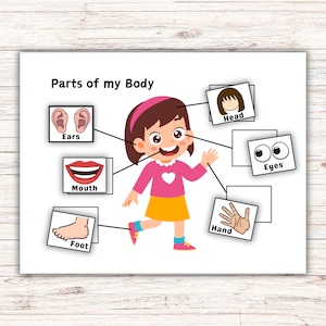 Parts of My Body Activity Busy Book Page for Preschool, Kindergarten ...