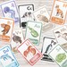 Watercolor Animal Alphabet & Numbers Flash Cards for Preschool and ...