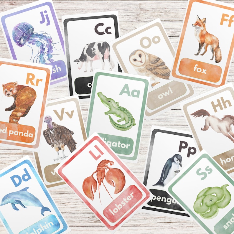 Watercolor Animal Alphabet & Numbers Flash Cards for Preschool and ...