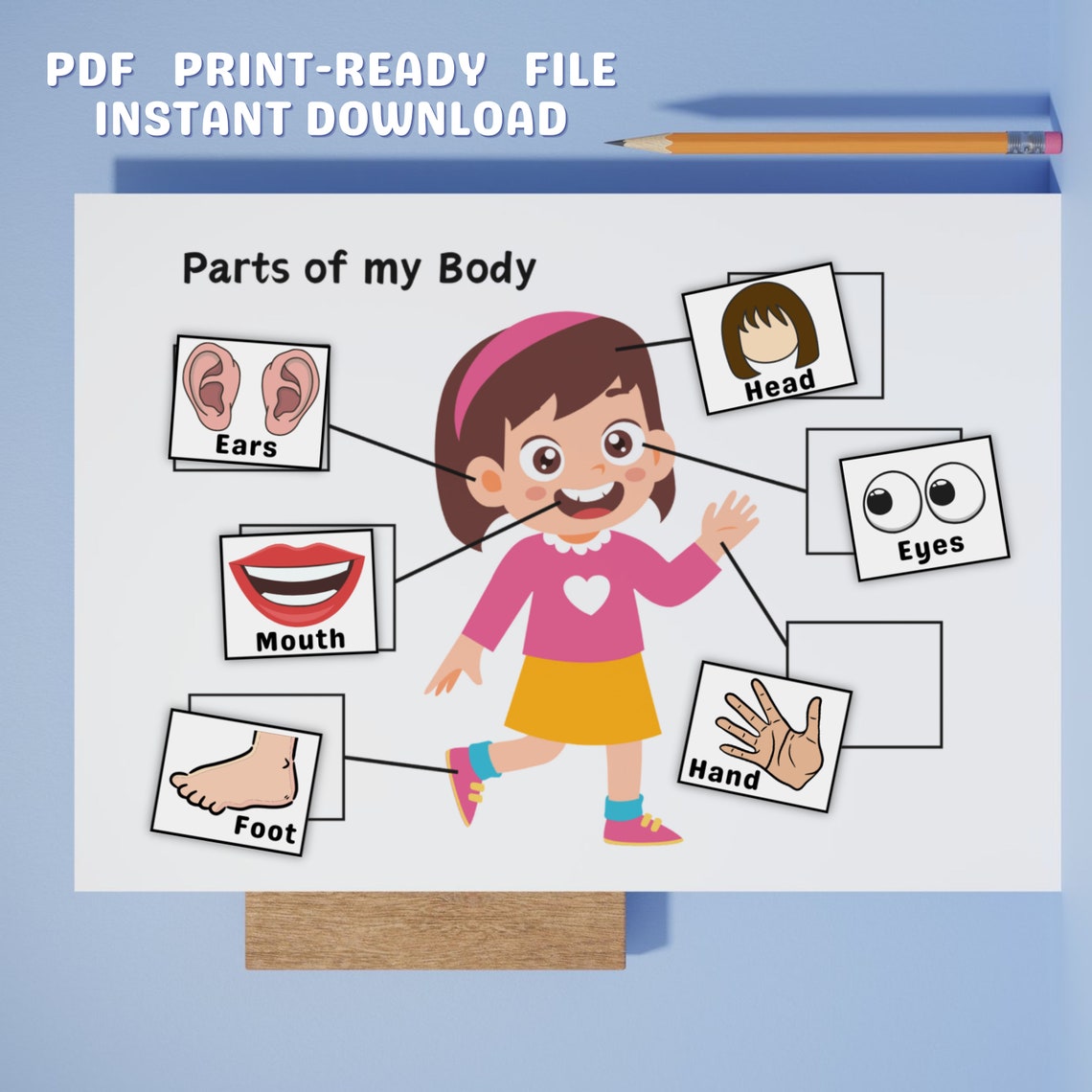 Parts of My Body Activity Busy Book Page for Preschool, Kindergarten ...