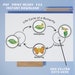 Butterfly, Frog, and Tree Life Cycle Pages for Elementary Education ...