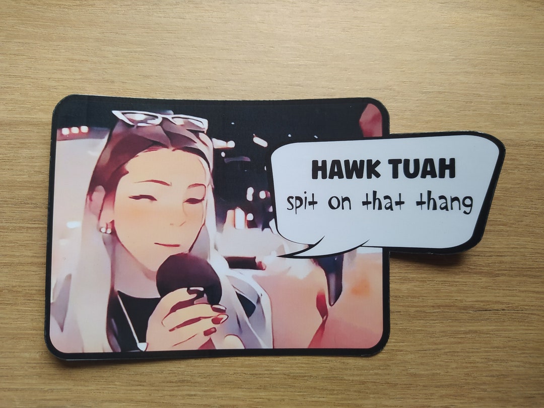 Hawk Tuah Cartoon Sticker Spit on That Thang Meme Printed Vinyl Car ...