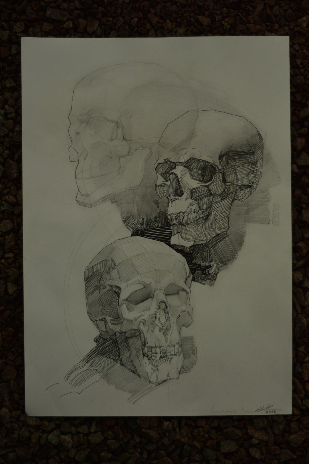 Graphics Human Skull. Anatomy, Handmade by Myron Selivachоv. Ukrainian ...