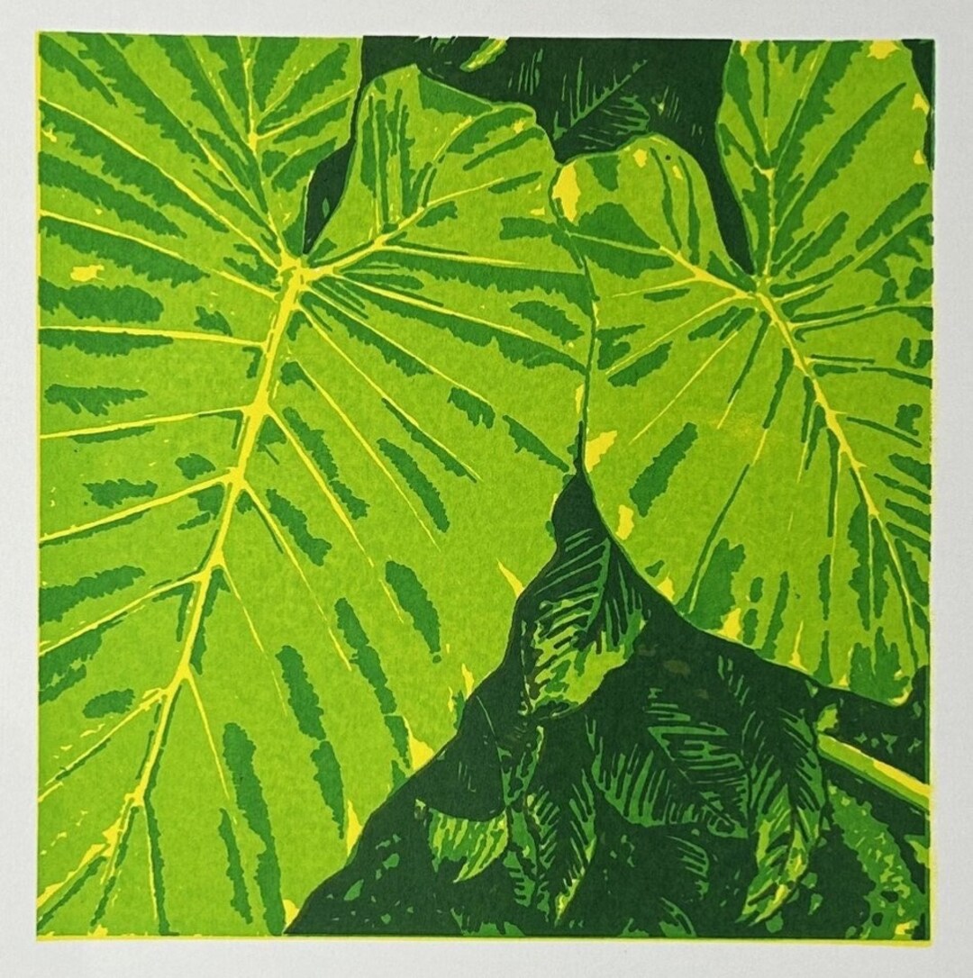 Elephant's Ears - Original Limited Edition Screenprint - Etsy