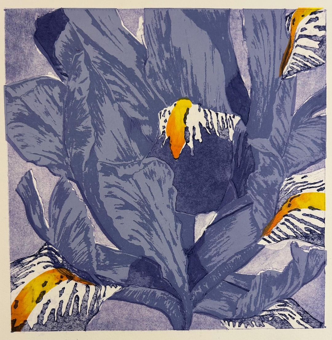 Iris - Original Limited Edition Collagraph and Screenprint - Etsy