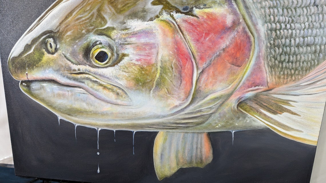 Ultra Selective(rainbow Trout) Original Acrylic Painting..24x20 Inches ...