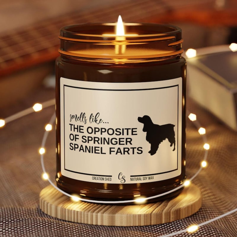 Gifts for Spaniel Owner - 60+ Gift Ideas for 2026