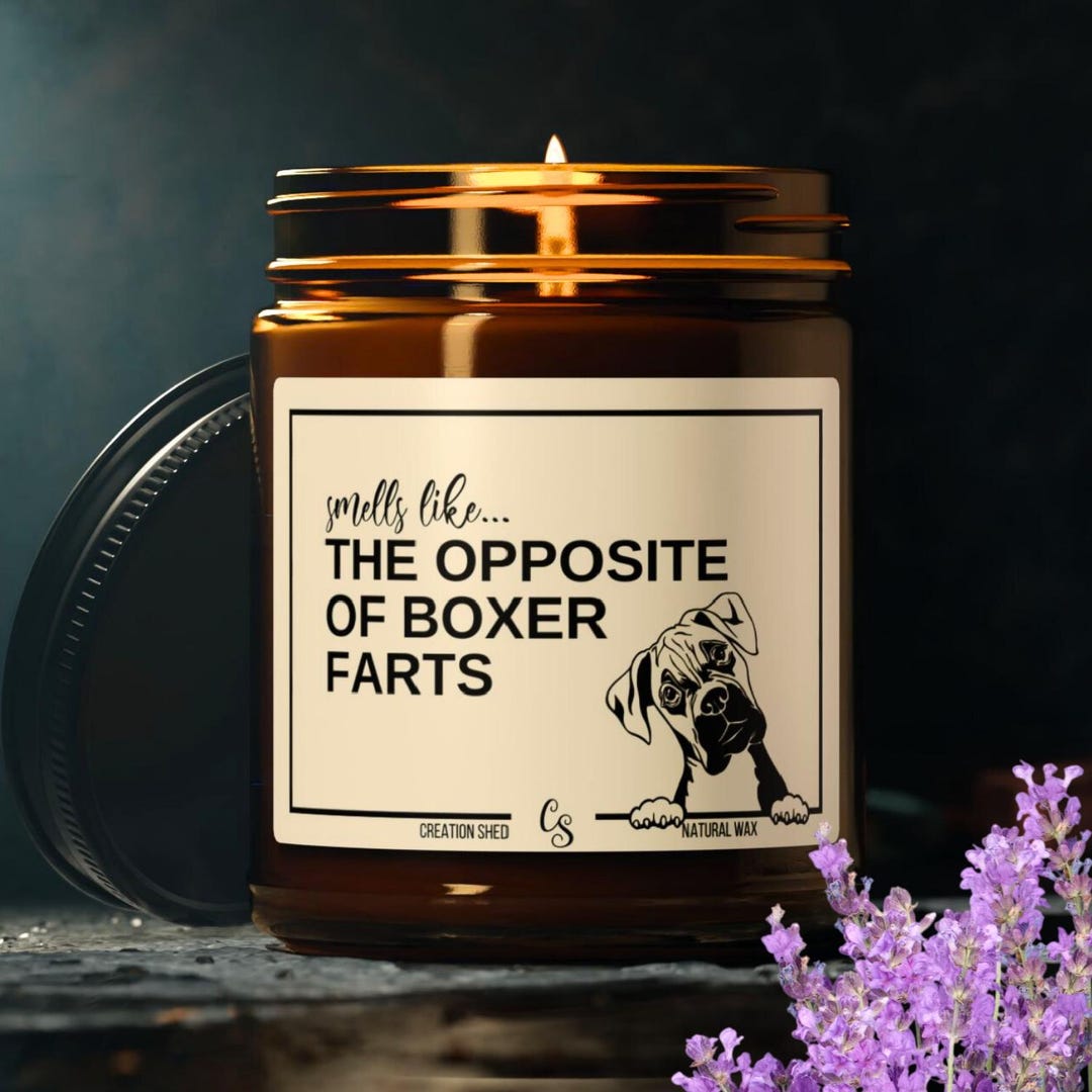 Boxer Dog Gifts, Funny Boxer Gift, Boxer Candle, Boxer Mom Gift, Unique ...