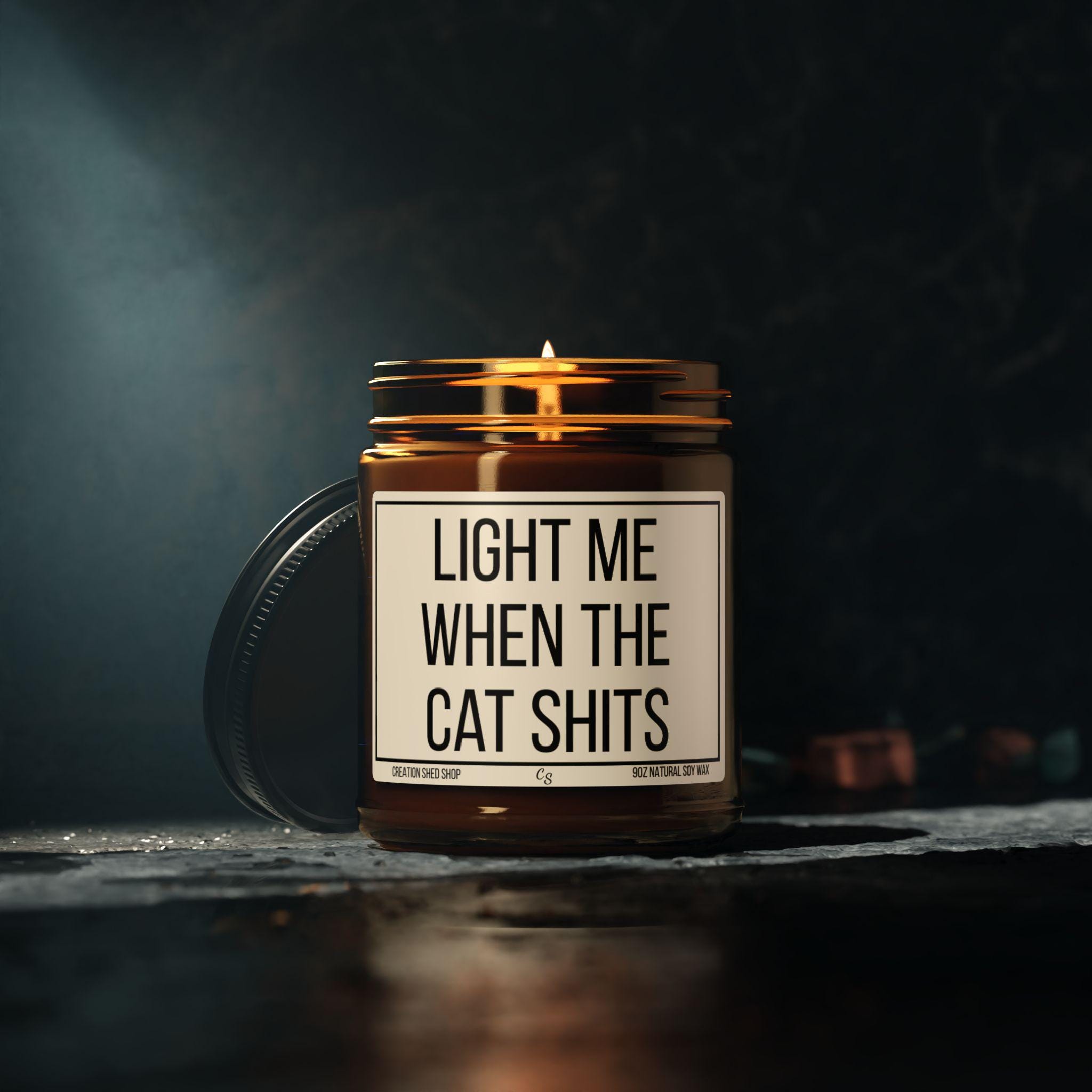 Funny Cat Candle Light Me When the Cat Shits, Custom Present for Cat ...
