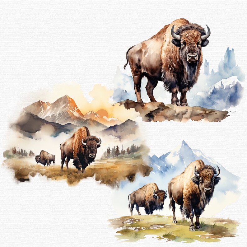 Watercolor American Bison Clip Art Bundle, Buffalo and Mountains ...