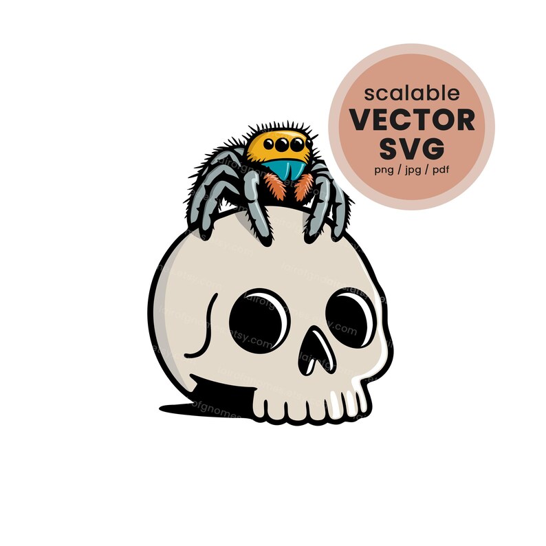 Cute Jumping Spider on Skull PNG . T-shirt Design Hand Drawn SVG Vector ...