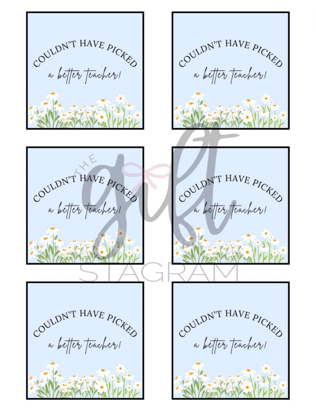 Couldn't Have Picked A Better Teacher Gift Tag DIGITAL DOWNLOAD Teacher ...