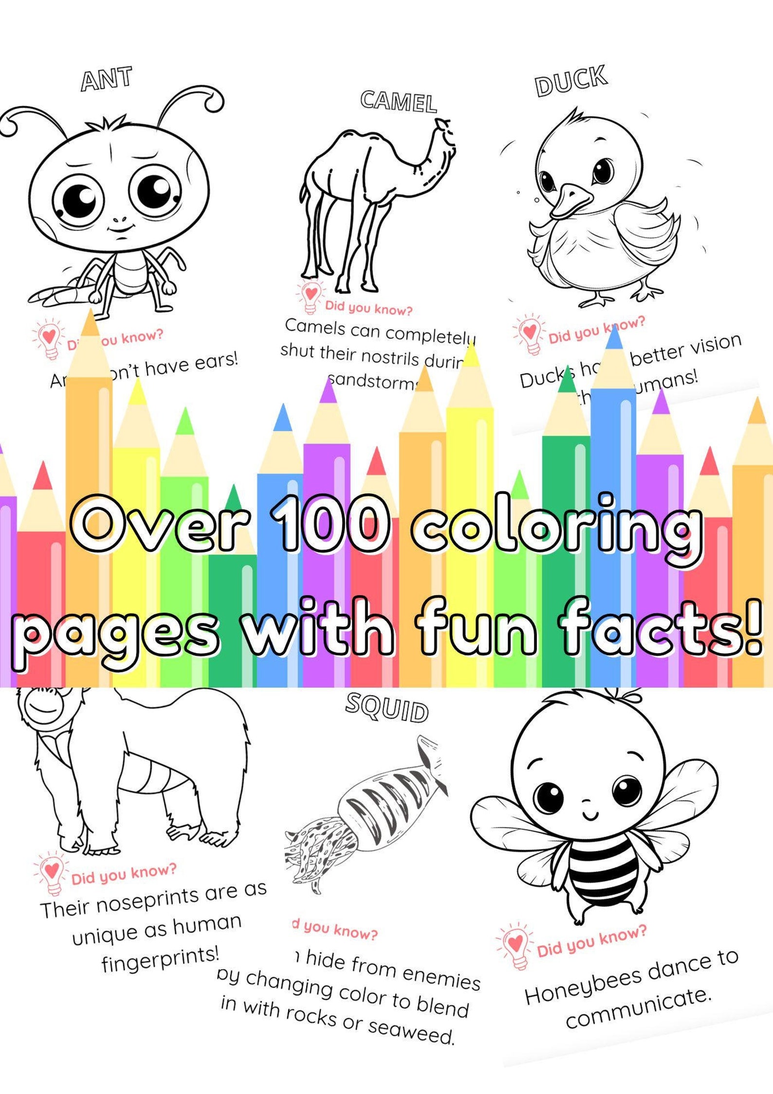 Printable Toddler Preschooler Coloring Pages With Interesting Facts ...