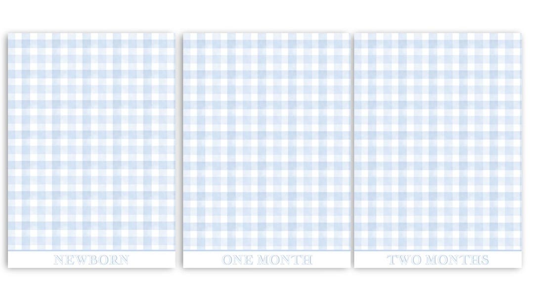 Blue Gingham Milestone Photo Banner | Blue Gingham | Monthly Milestone ...