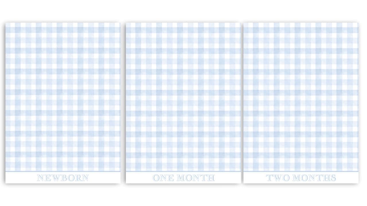 Blue Gingham Milestone Photo Banner | Blue Gingham | Monthly Milestone ...