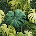 Monstera Pattern Bundle - Etsy