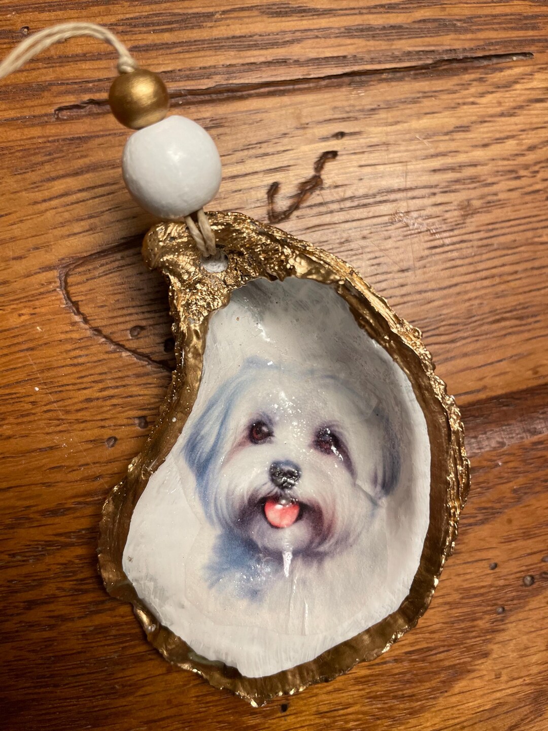 Maltese Oyster Shell Ornament Item 1454 C - Etsy