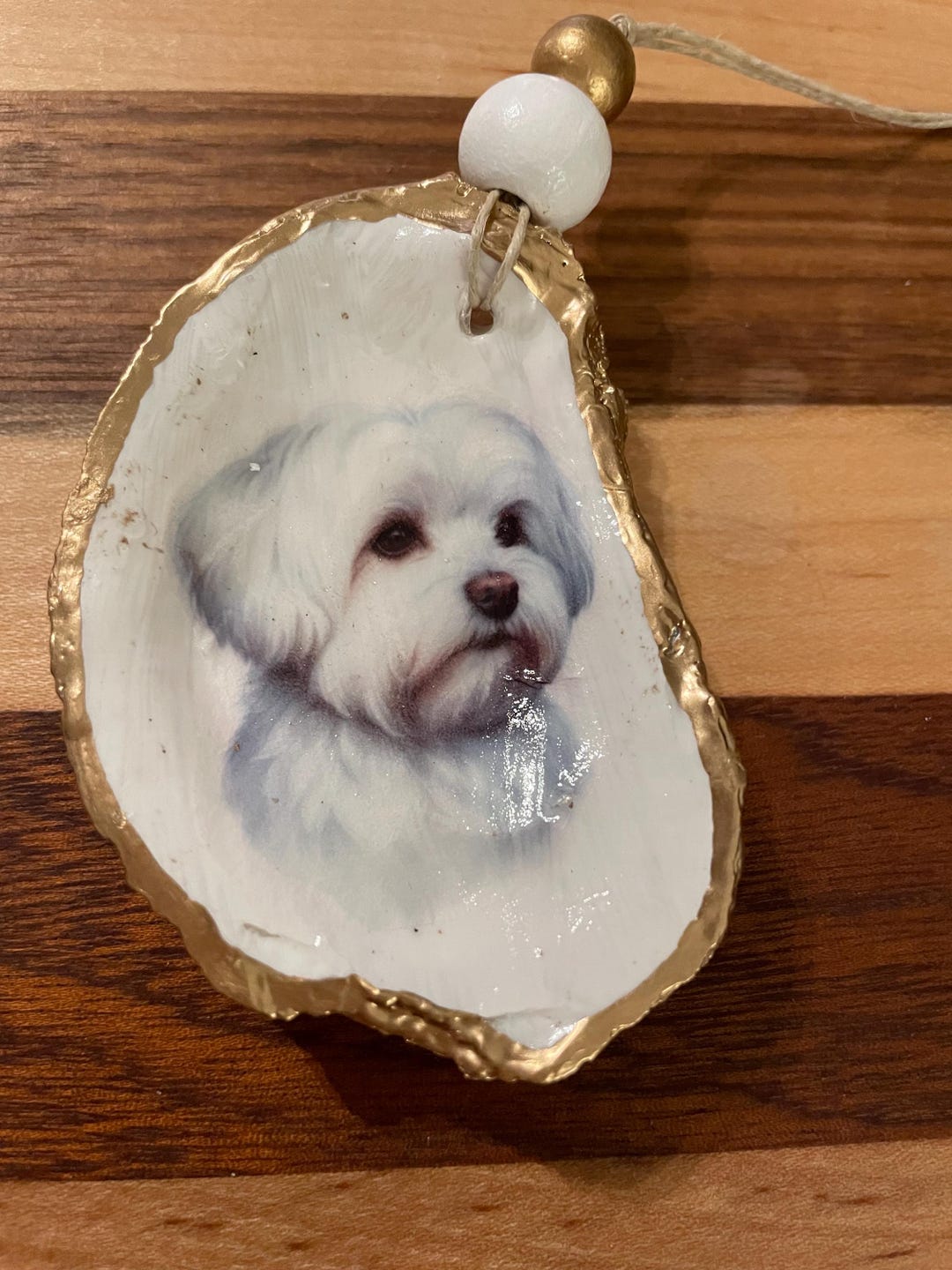 Maltese Oyster Shell Ornament - Item # 1454 A - Etsy
