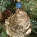 Shark Tooth Oyster Shell Ornament With Real Fossilized Sharks Tooth! - Etsy