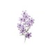 Lilac Flower Sticker | Lilac Vinyl Decal | Watercolor Flower Decal ...