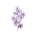 Lilac Flower Sticker | Lilac Vinyl Decal | Watercolor Flower Decal ...