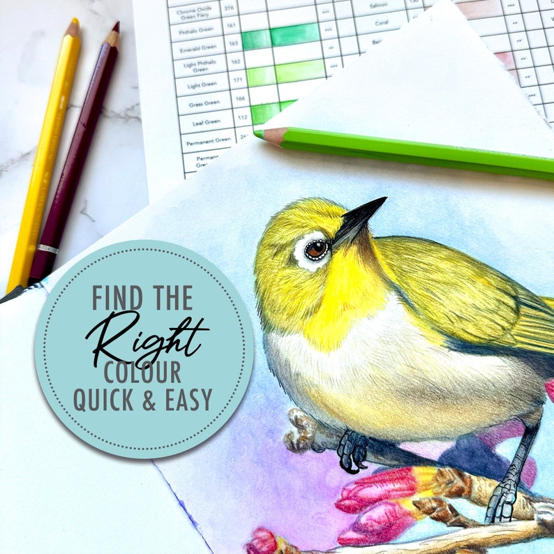 Printable Faber-castell Albrecht Durer Coloured Pencil Chart - Etsy