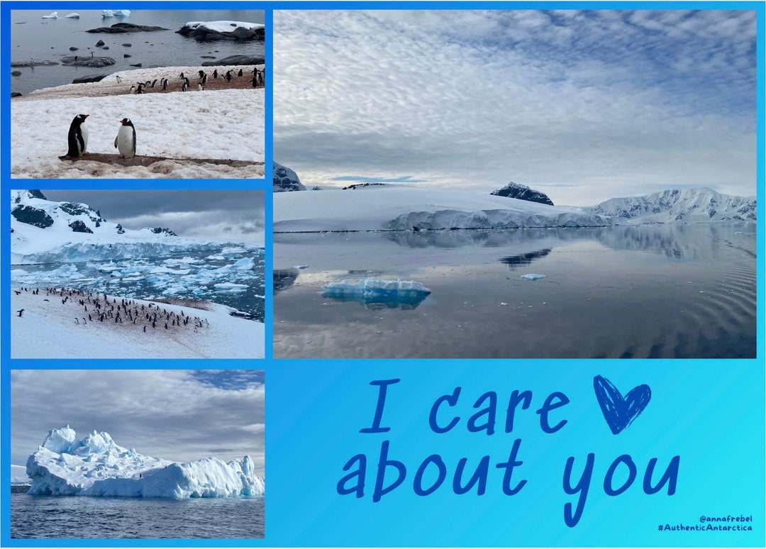 Authentic Antarctica Postcards 5 Pack - Etsy