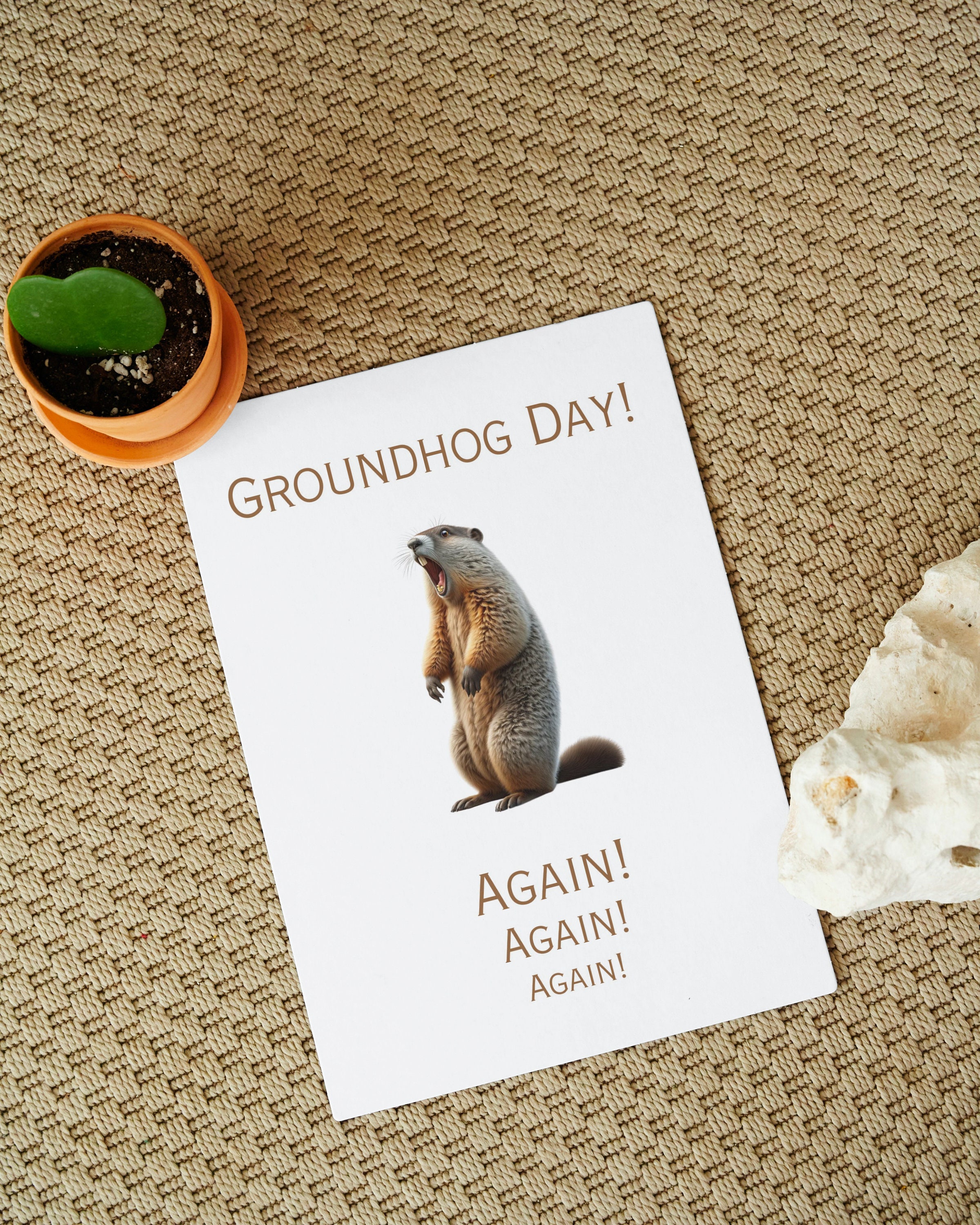 Groundhog Day Card Screaming Marmot Meme | Meme Card, Funny Card - Etsy