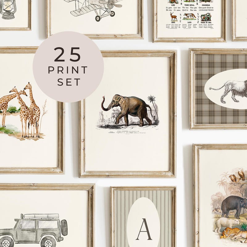 Safari Nursery Decor - Etsy