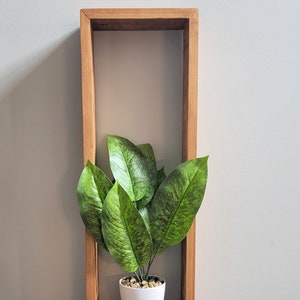 Plant Shelf, Plant Shelves, Floating Shelf, Floating Plant Shelf - Etsy