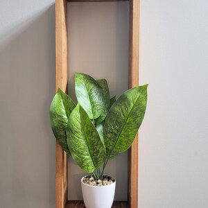 Plant Shelf, Plant Shelves, Floating Shelf, Floating Plant Shelf - Etsy